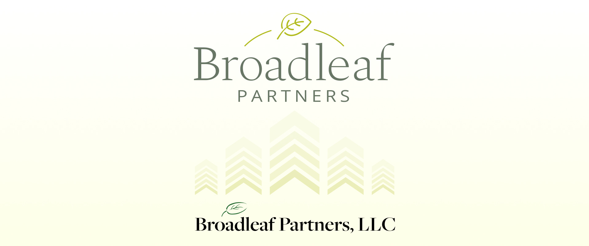 Why We Updated Our Wealth Management Website | Broadleaf Partners, LLC